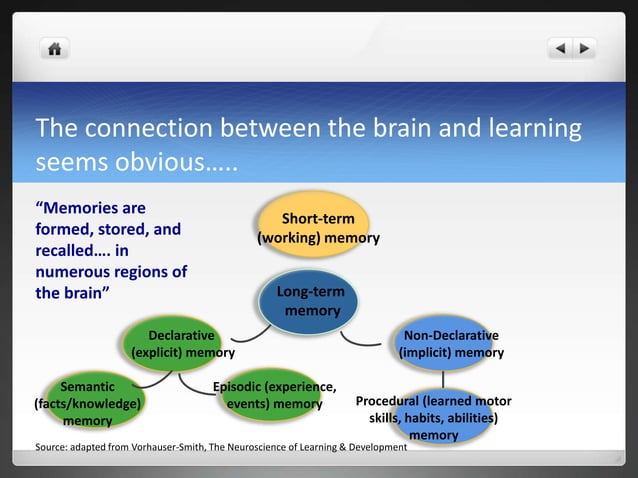 Neuroscience and Learning | PPTX | Brain and Nervous System Disorders ...