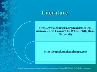 Associational cortex introduction | PPSX