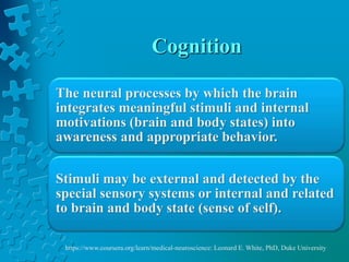 Associational cortex introduction | PPSX