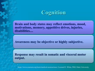 Associational cortex introduction | PPSX