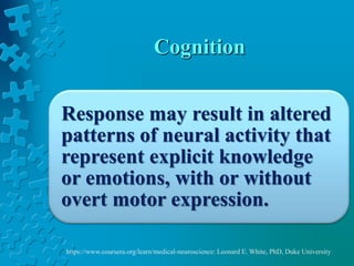 Associational cortex introduction | PPSX