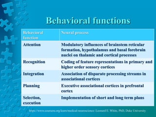 Associational cortex introduction | PPSX