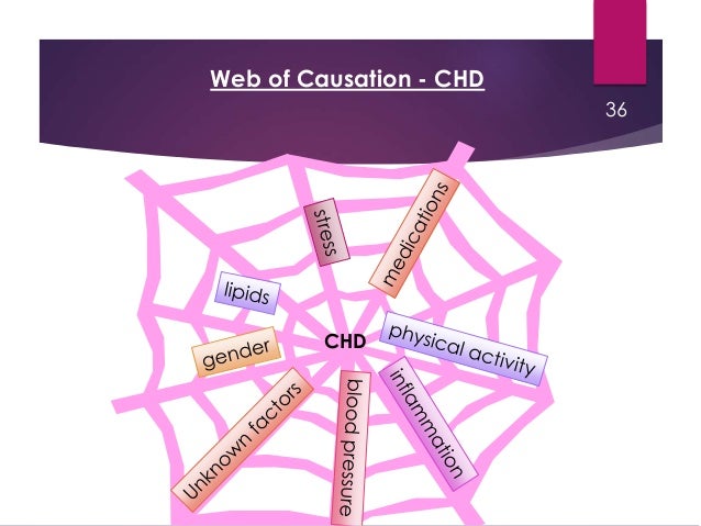 Association And Causation
