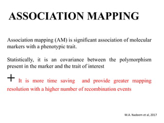 Association mapping | PPTX