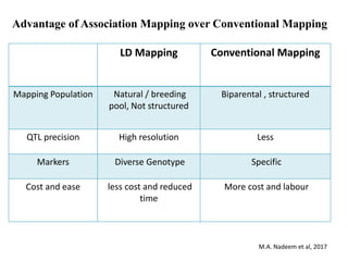 Association mapping | PPTX