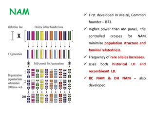 Association mapping | PPTX | Genealogy and Ancestry | Hobbies & Interests