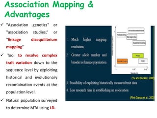 Association mapping | PPTX | Genealogy and Ancestry | Hobbies & Interests
