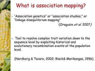 Association mapping approaches for tagging quality traits in maize | PPTX