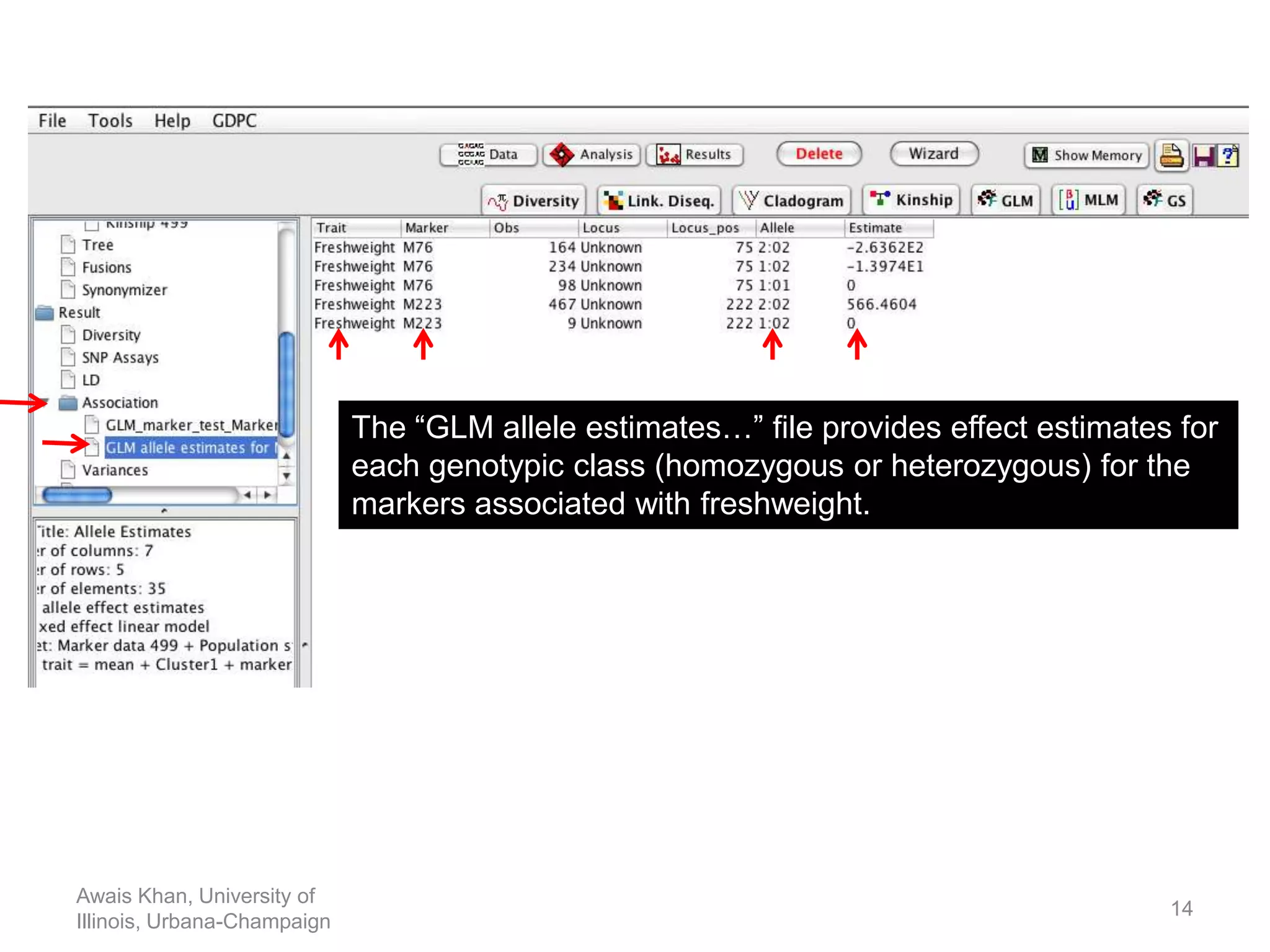 Introduction To Association Mapping And Tutorial Using Tassel Pptx
