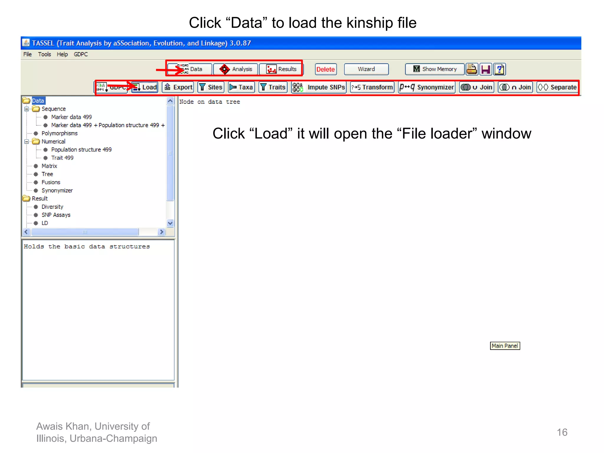Introduction To Association Mapping And Tutorial Using Tassel Pptx
