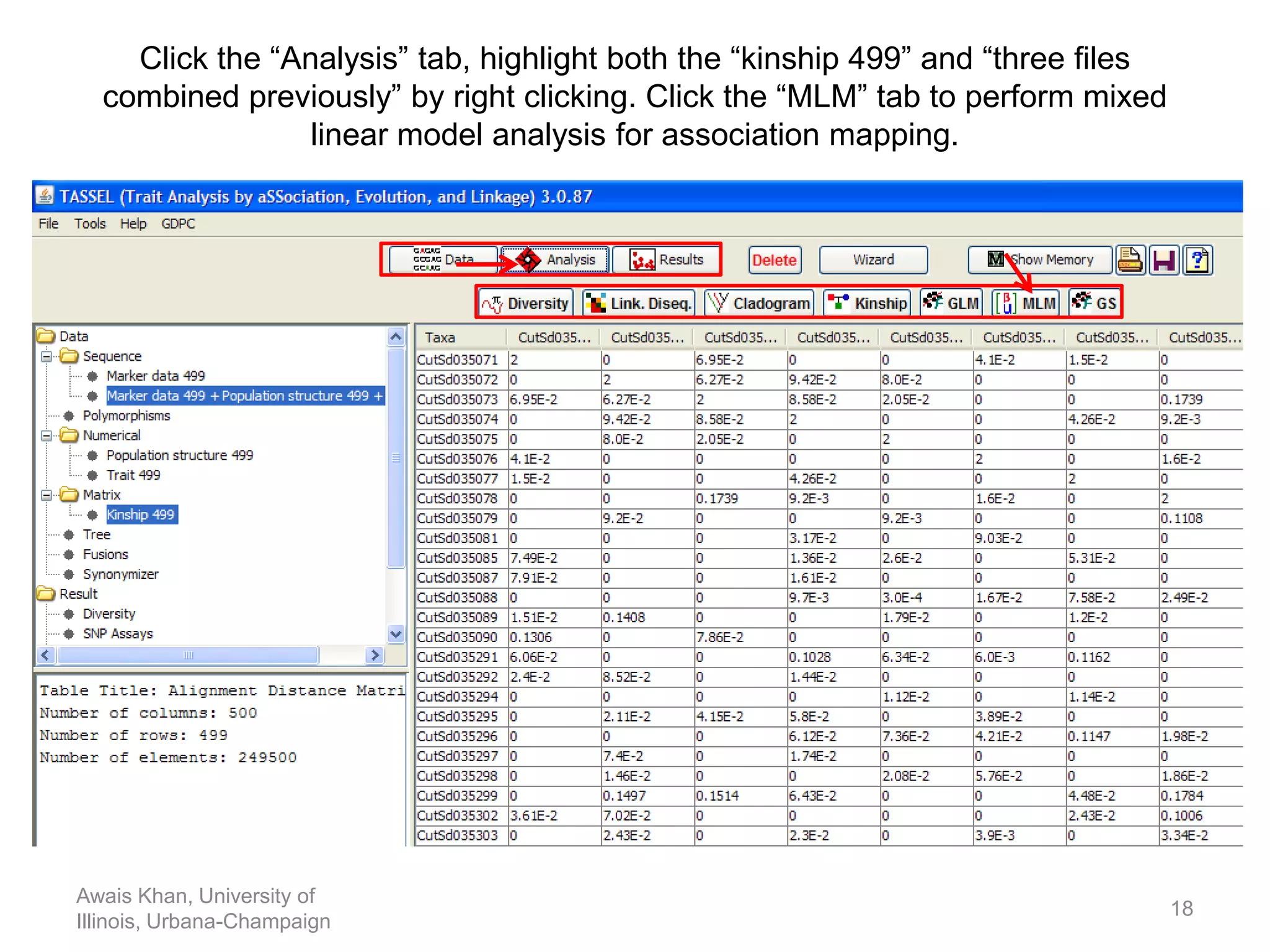 Introduction To Association Mapping And Tutorial Using Tassel Pptx