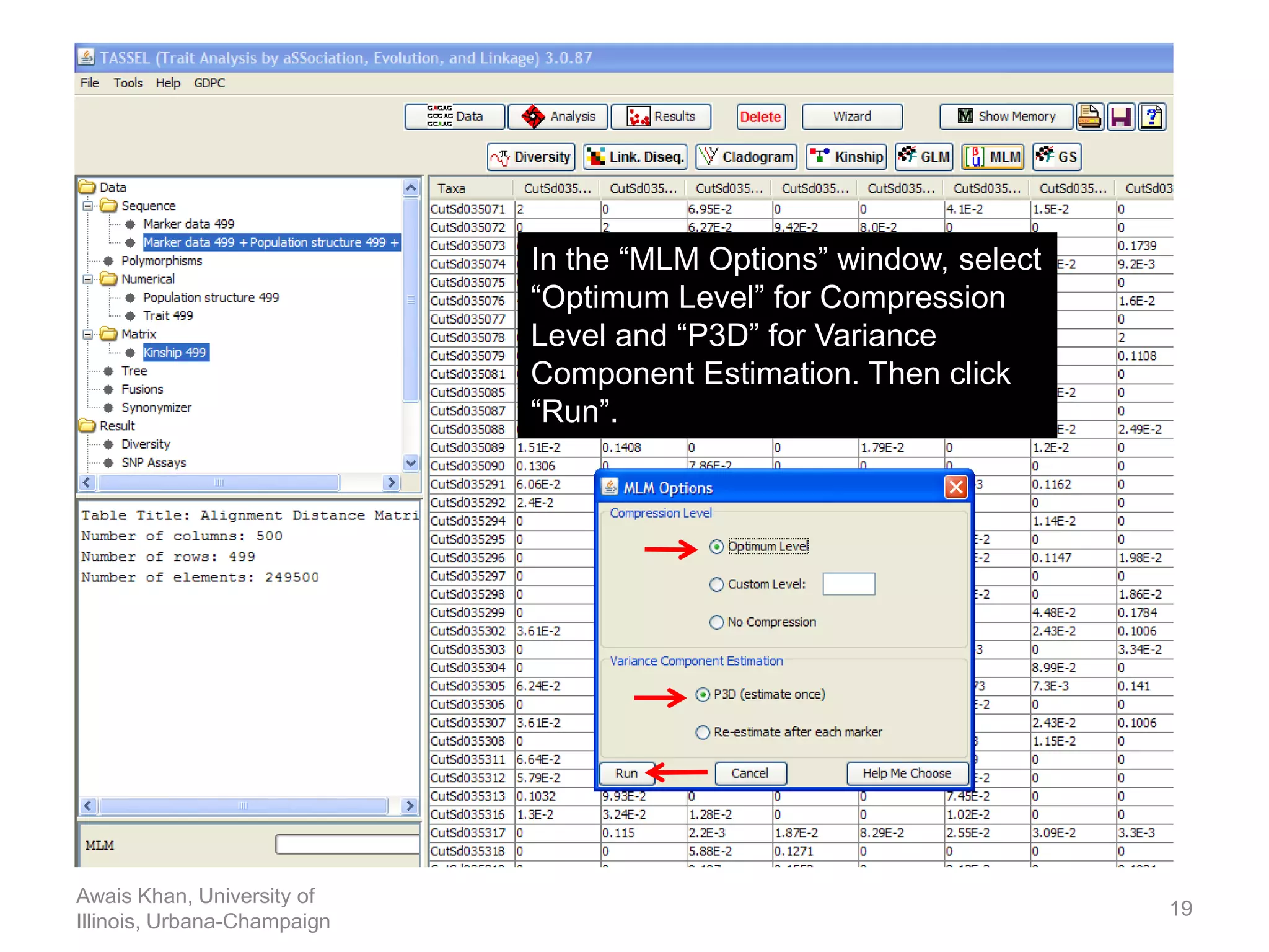 Introduction To Association Mapping And Tutorial Using Tassel Pptx