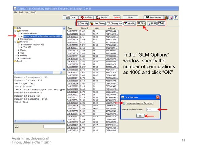 Introduction To Association Mapping And Tutorial Using Tassel Pptx