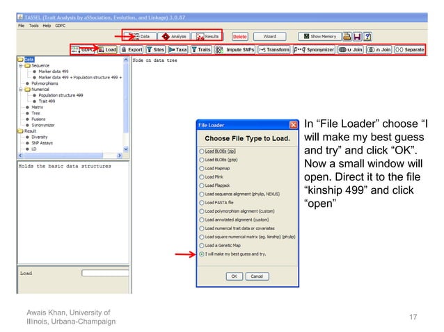 Introduction To Association Mapping And Tutorial Using Tassel Pptx