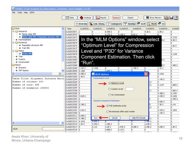 Introduction To Association Mapping And Tutorial Using Tassel Pptx
