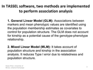 Introduction to association mapping and tutorial using tassel | PPTX
