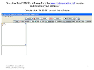 Introduction to association mapping and tutorial using tassel | PPTX