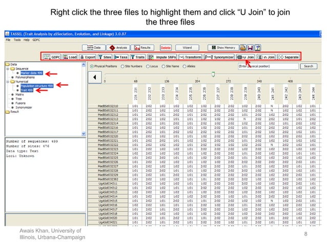 Introduction To Association Mapping And Tutorial Using Tassel Pptx