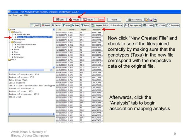 Introduction To Association Mapping And Tutorial Using Tassel Pptx