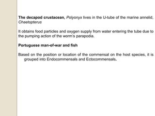 Association of animals | PPTX