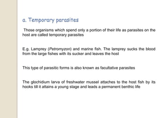 Association of animals | PPTX