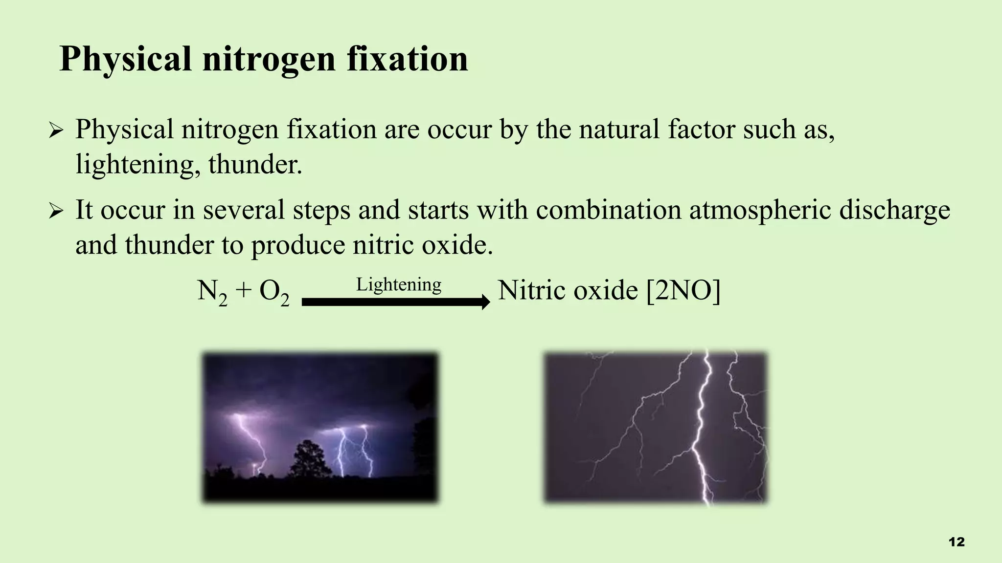 Associative nitrogen fixation | PPTX