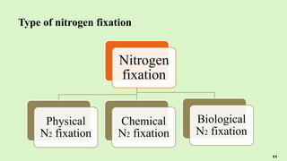 Associative nitrogen fixation | PPTX