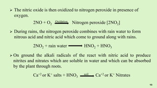 Associative nitrogen fixation | PPTX