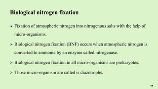Associative nitrogen fixation | PPTX