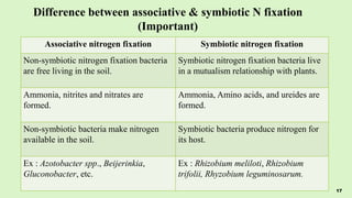 Associative nitrogen fixation | PPTX
