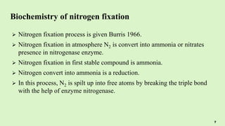 Associative nitrogen fixation | PPTX