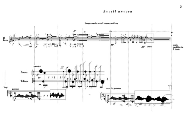 "Assonant" for flute and percussion | PPT