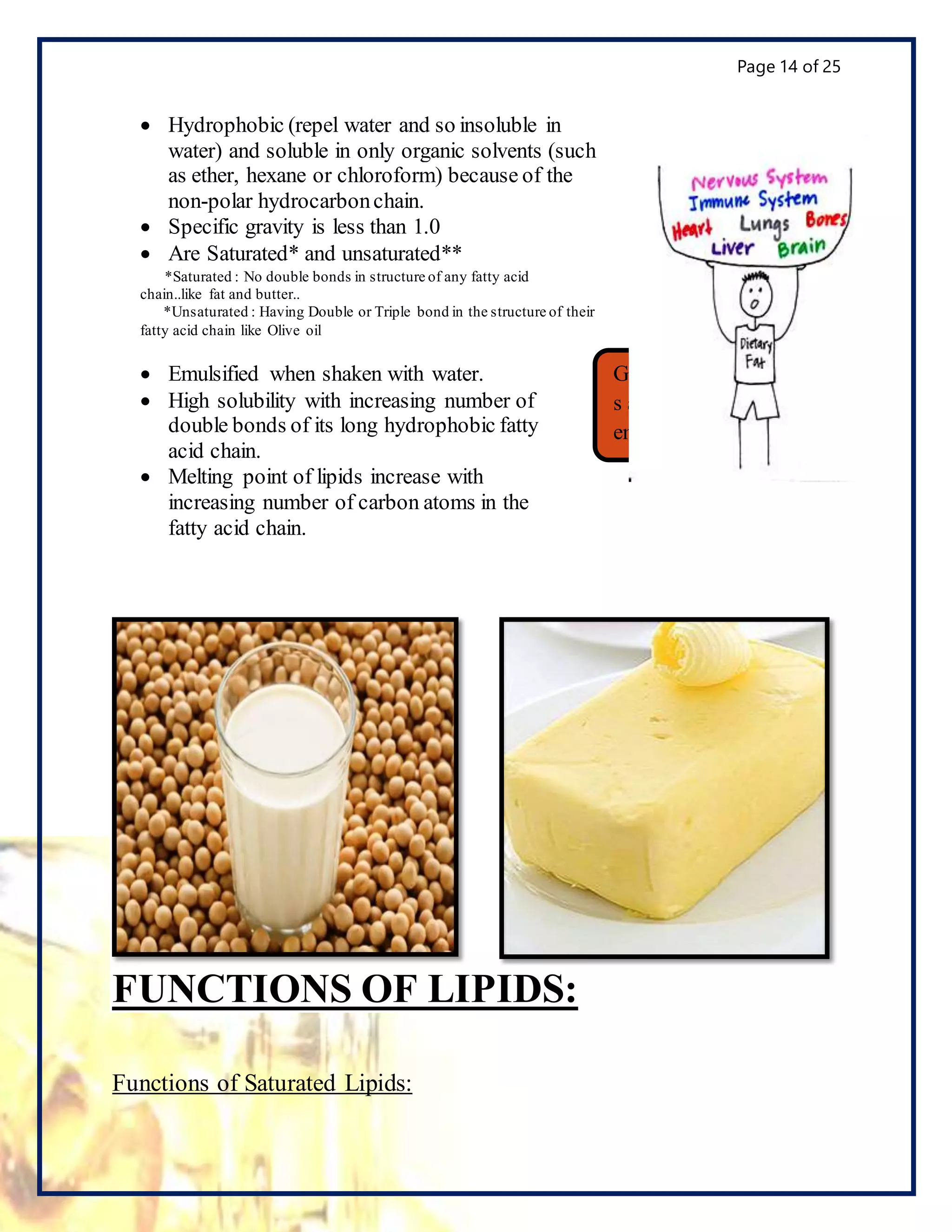 LIPIDS | PDF