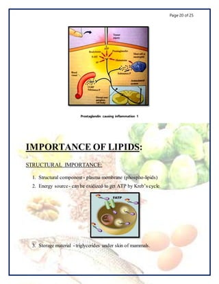 LIPIDS | DOCX