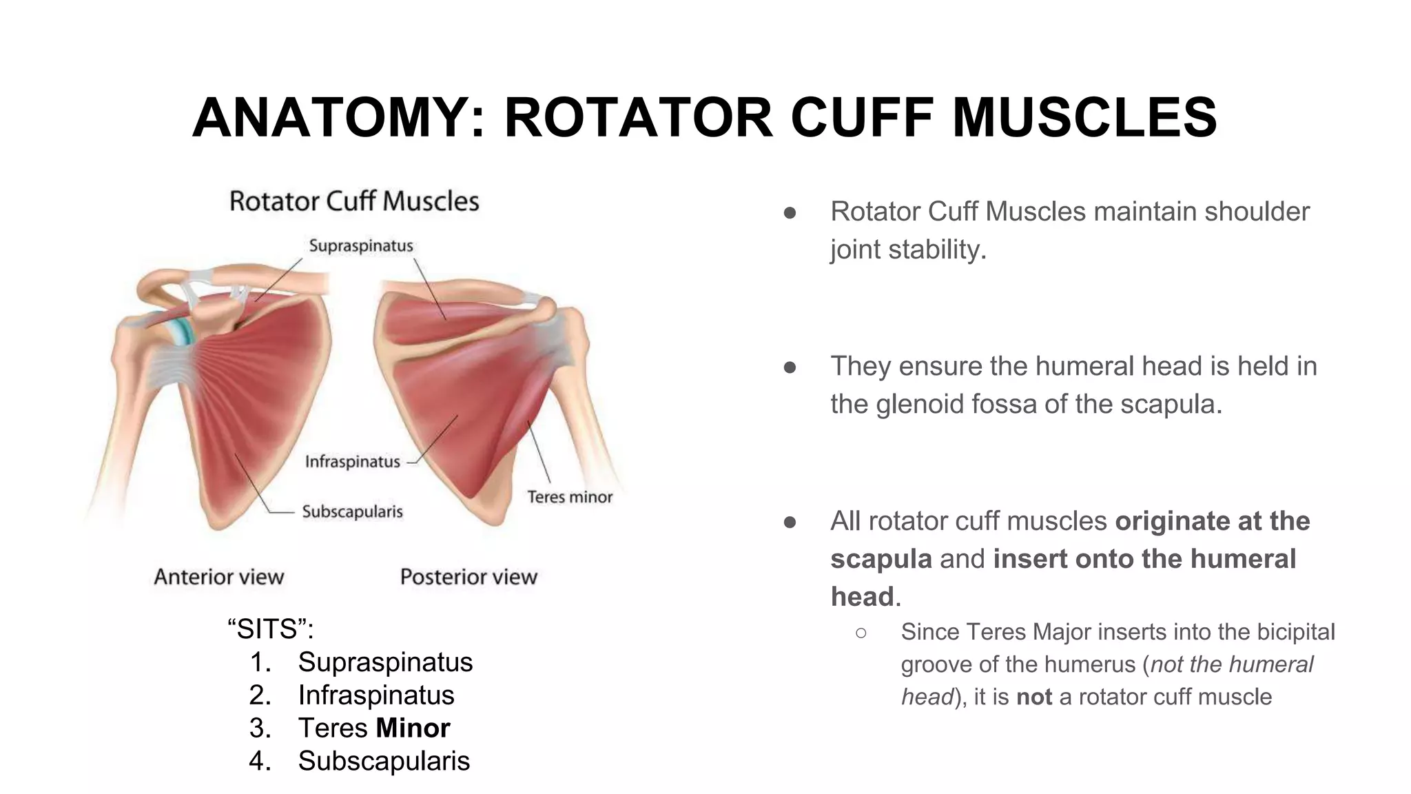 Assessment of shoulder injuries in primary care | PPTX