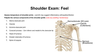 Assessment of shoulder injuries in primary care | PPTX