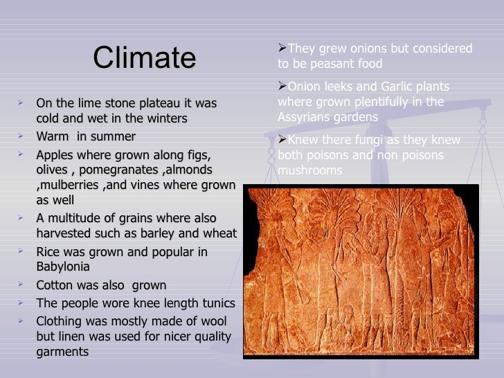 Geography - The Fierce Assyrians