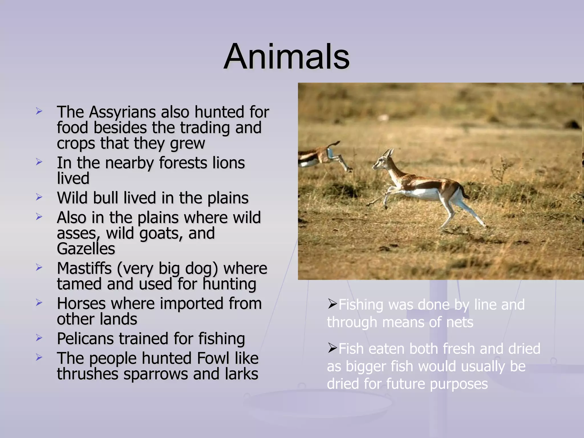 Assyrian Empire Ppt