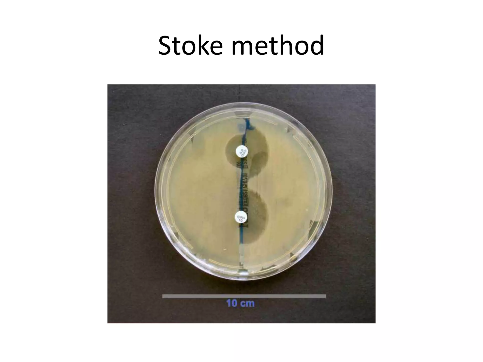 antibiotic susceptibility testing | PPTX