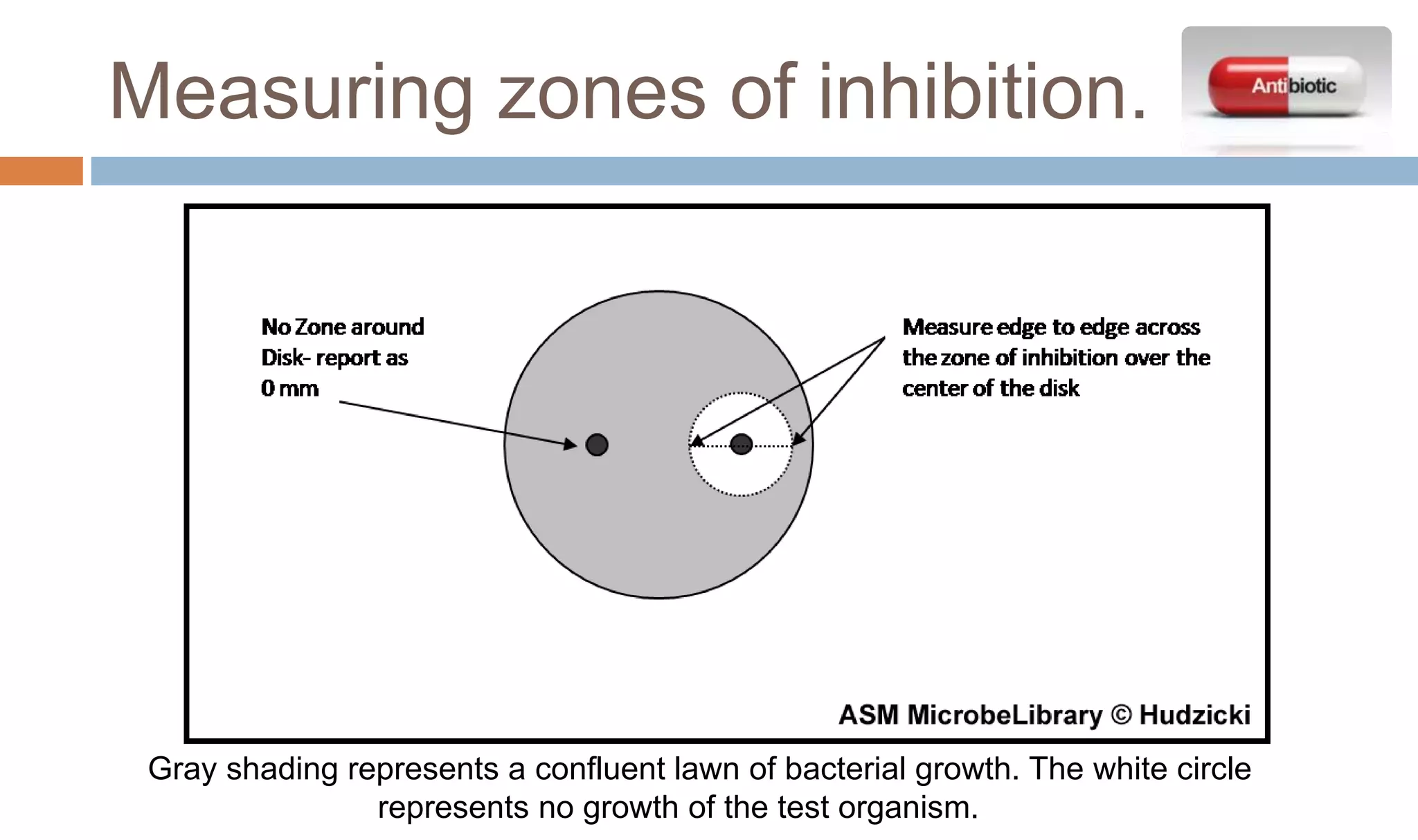 Antibiotic sensitivity testing (AST) | PPTX