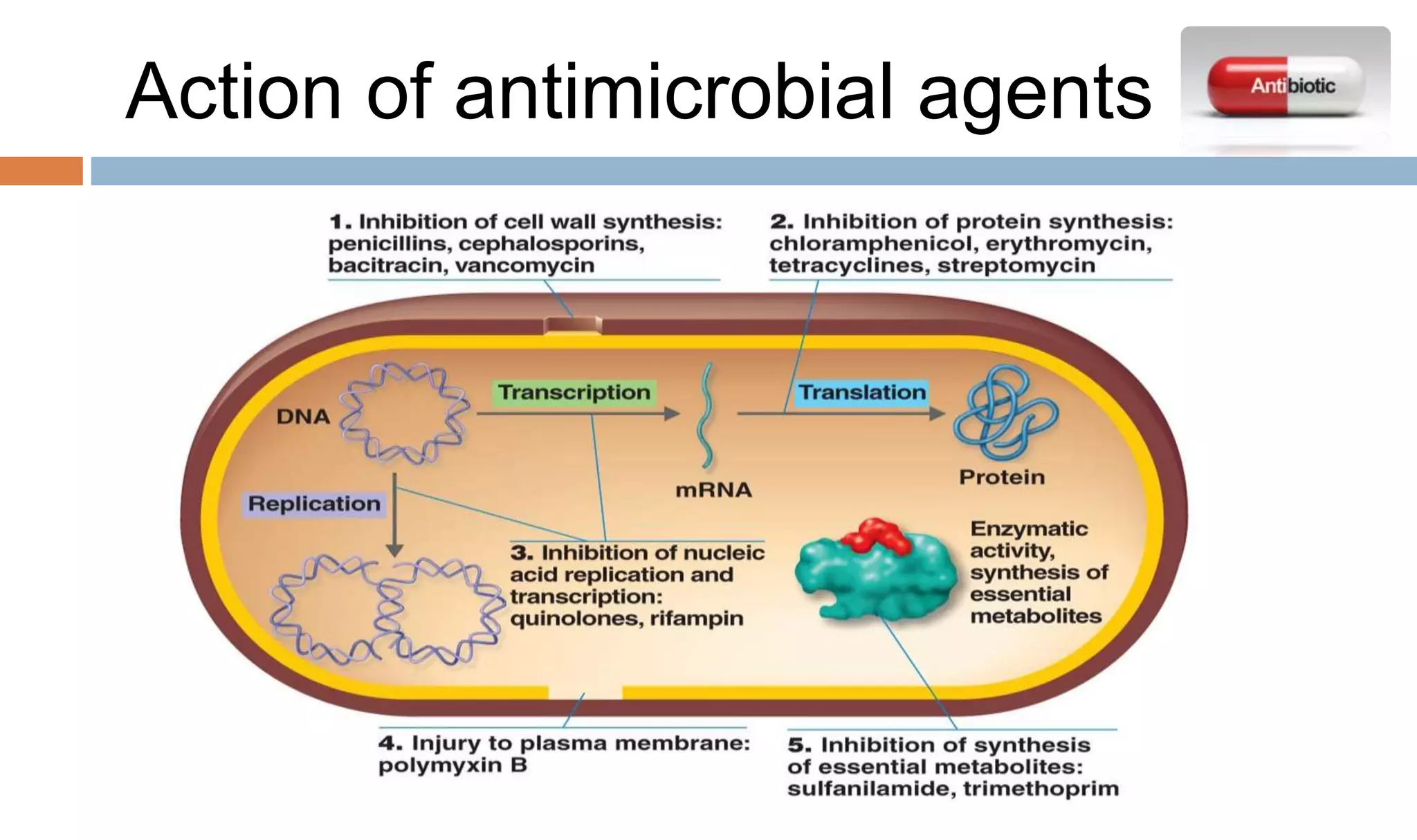 Antibiotic sensitivity testing (AST) | PPTX