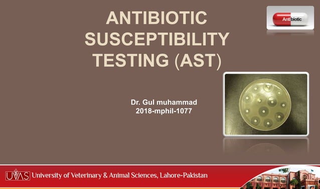 Antibiotic sensitivity testing (AST) | PPTX