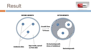 Antibiotic sensitivity testing (AST) | PPTX