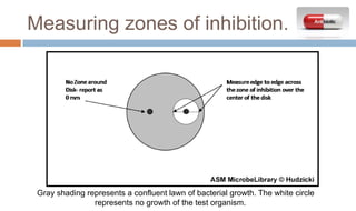 Antibiotic sensitivity testing (AST) | PPTX