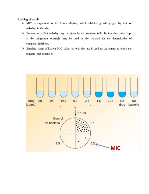 Antibiotic sensitivity testing | DOCX | Infectious Diseases | Diseases ...