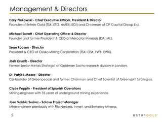 Astur Gold Corp | PDF | Commodities | Economy