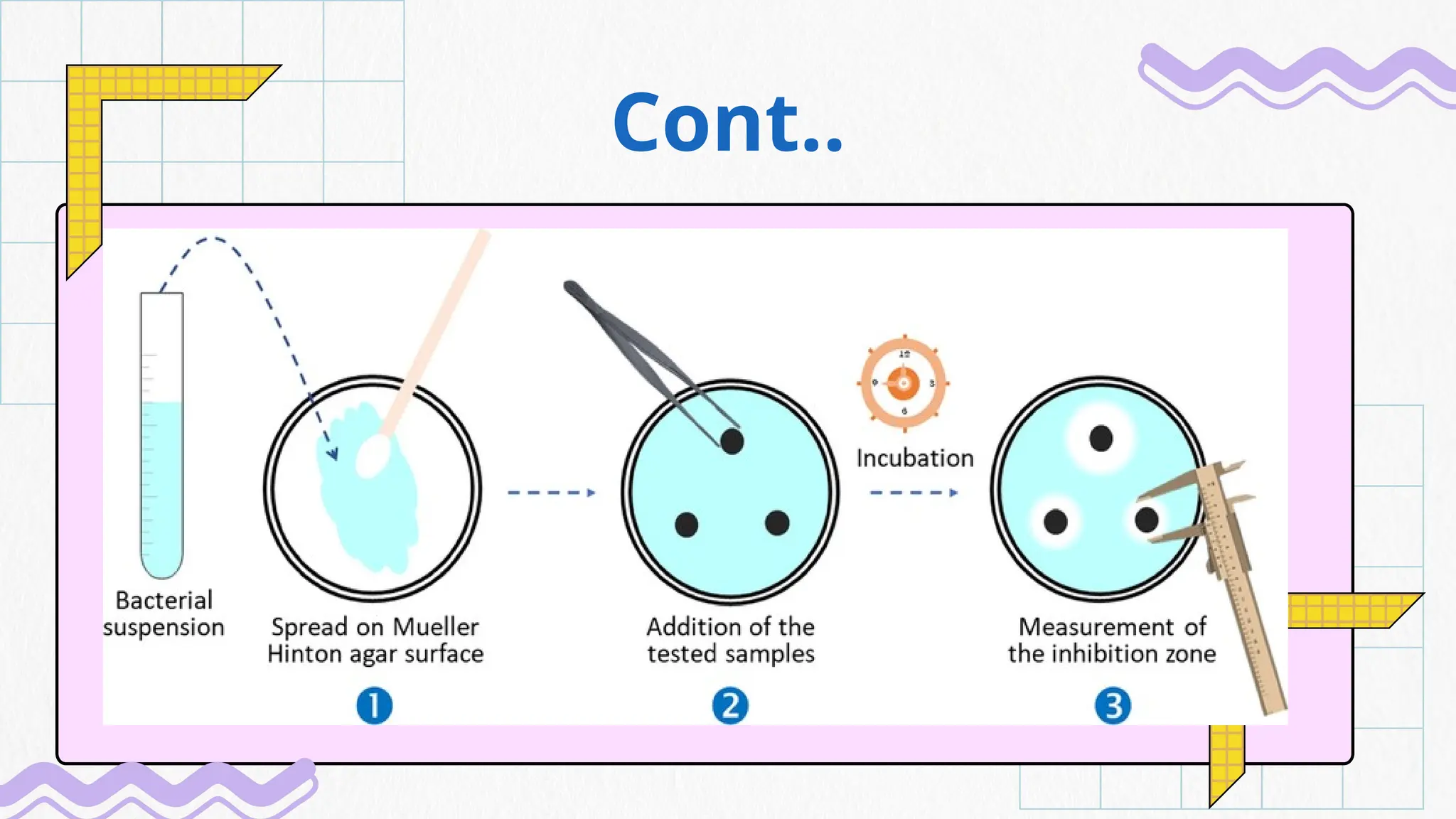 AST( antibiotic susceptibility testing).pptx