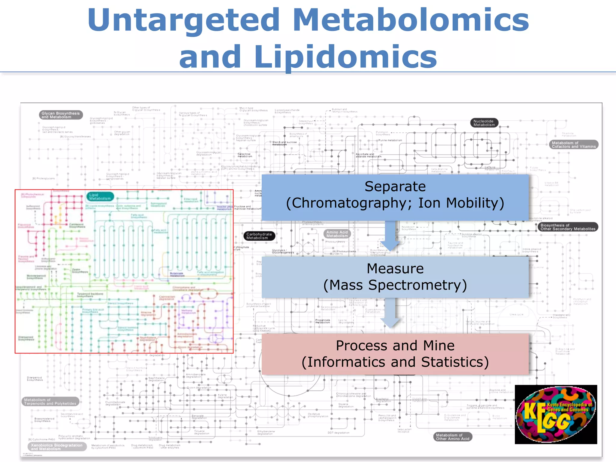 Metabolomics & Lipidomics: From Discovery to Routine Applications | PDF