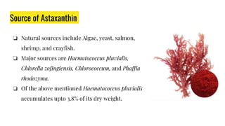 Astaxanthin production from algal culture | PPT