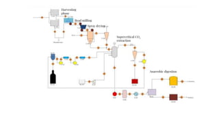 Astaxanthin production from algal culture | PPT